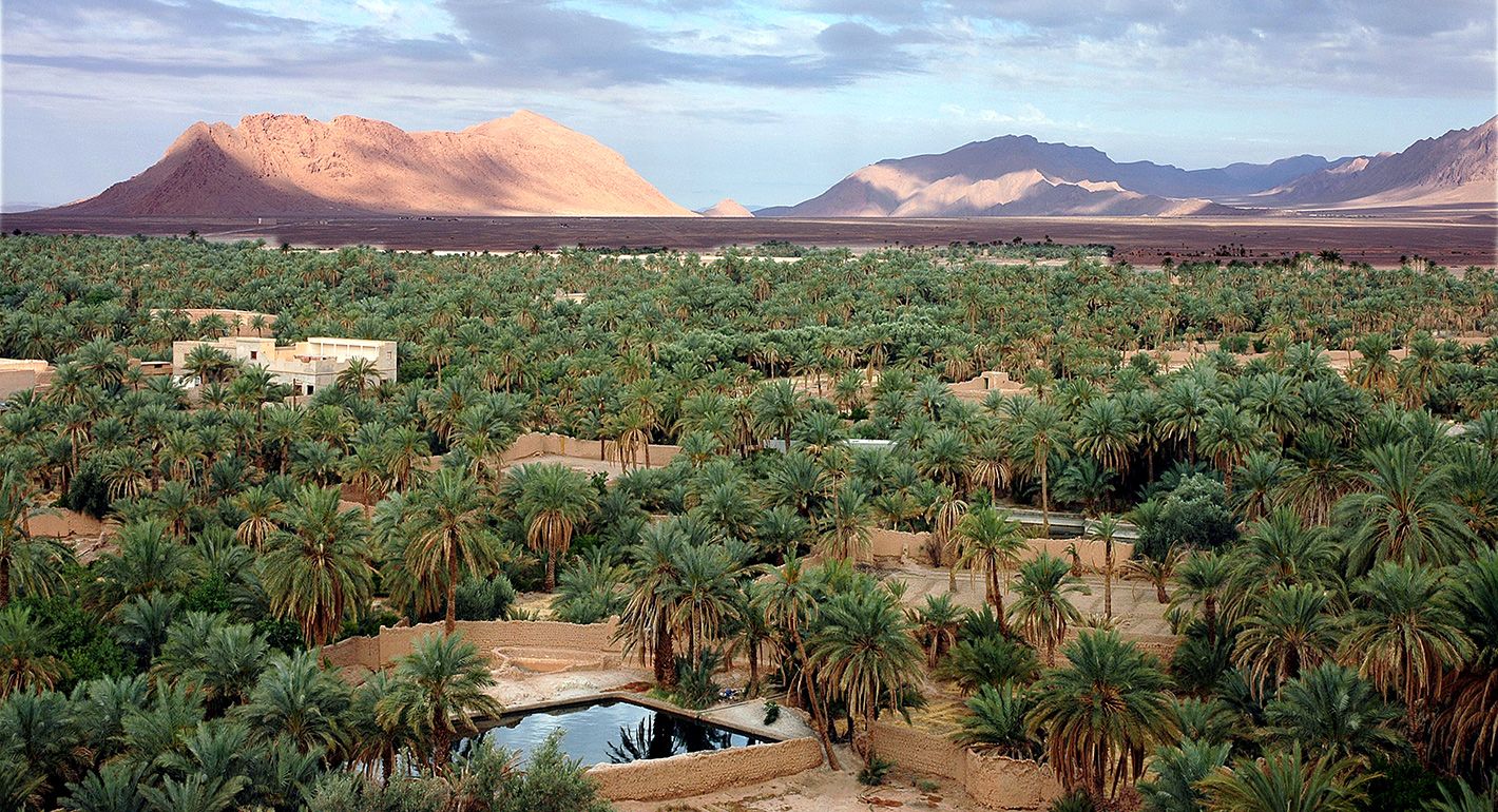 Climate Governance in Algeria: Analyzing Institutional Capacities ...